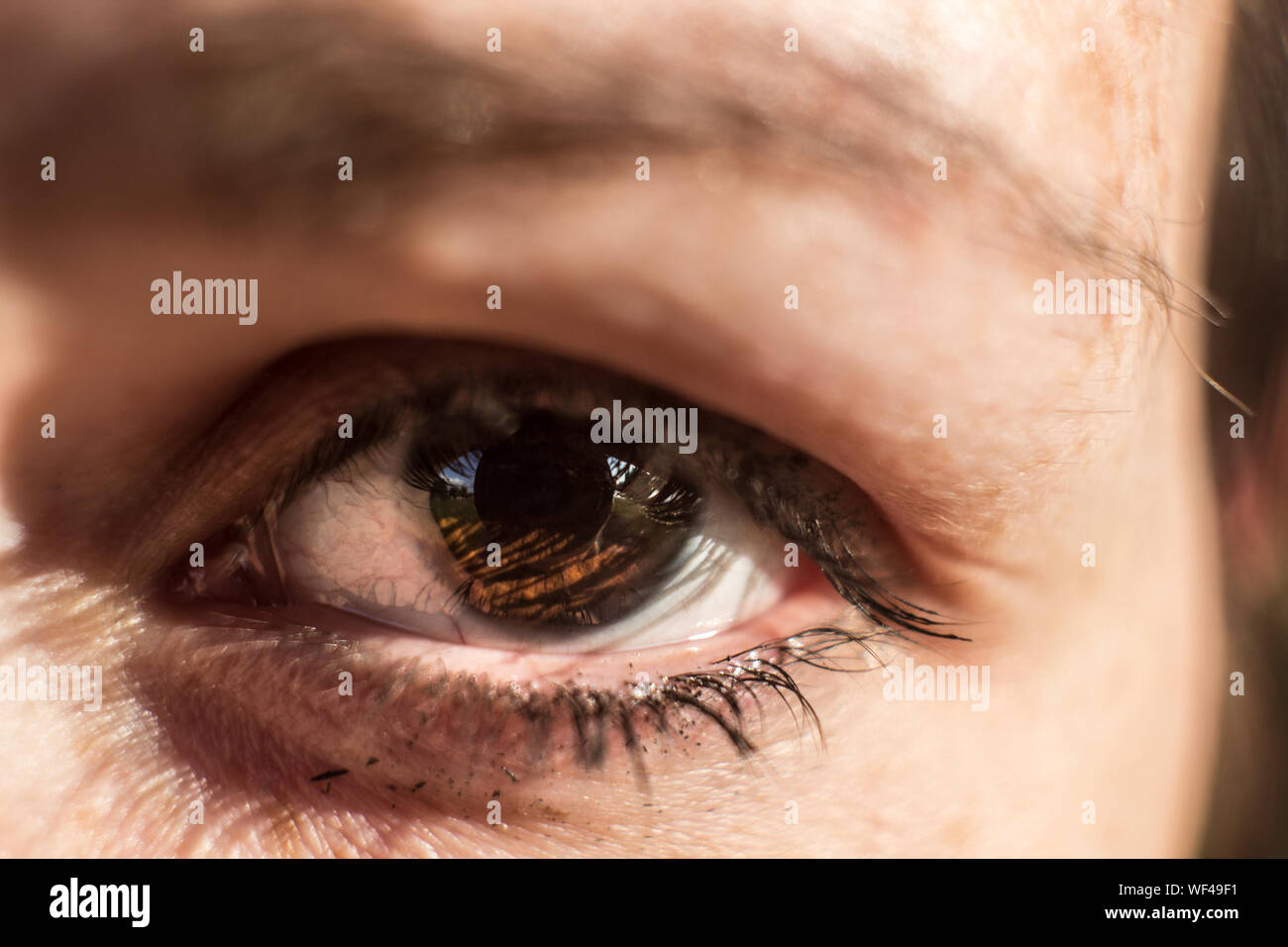 Close up eye reflection hi-res stock photography and images - Alamy