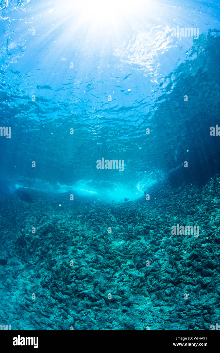 Rays of sunlight shining into sea, underwater view Stock Photo - Alamy