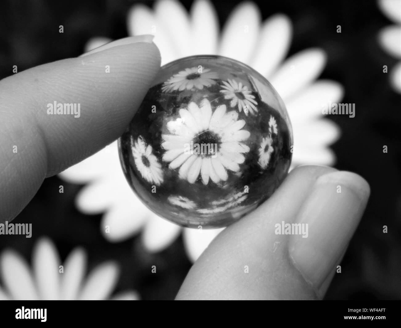 Hand holding marble hi-res stock photography and images - Alamy