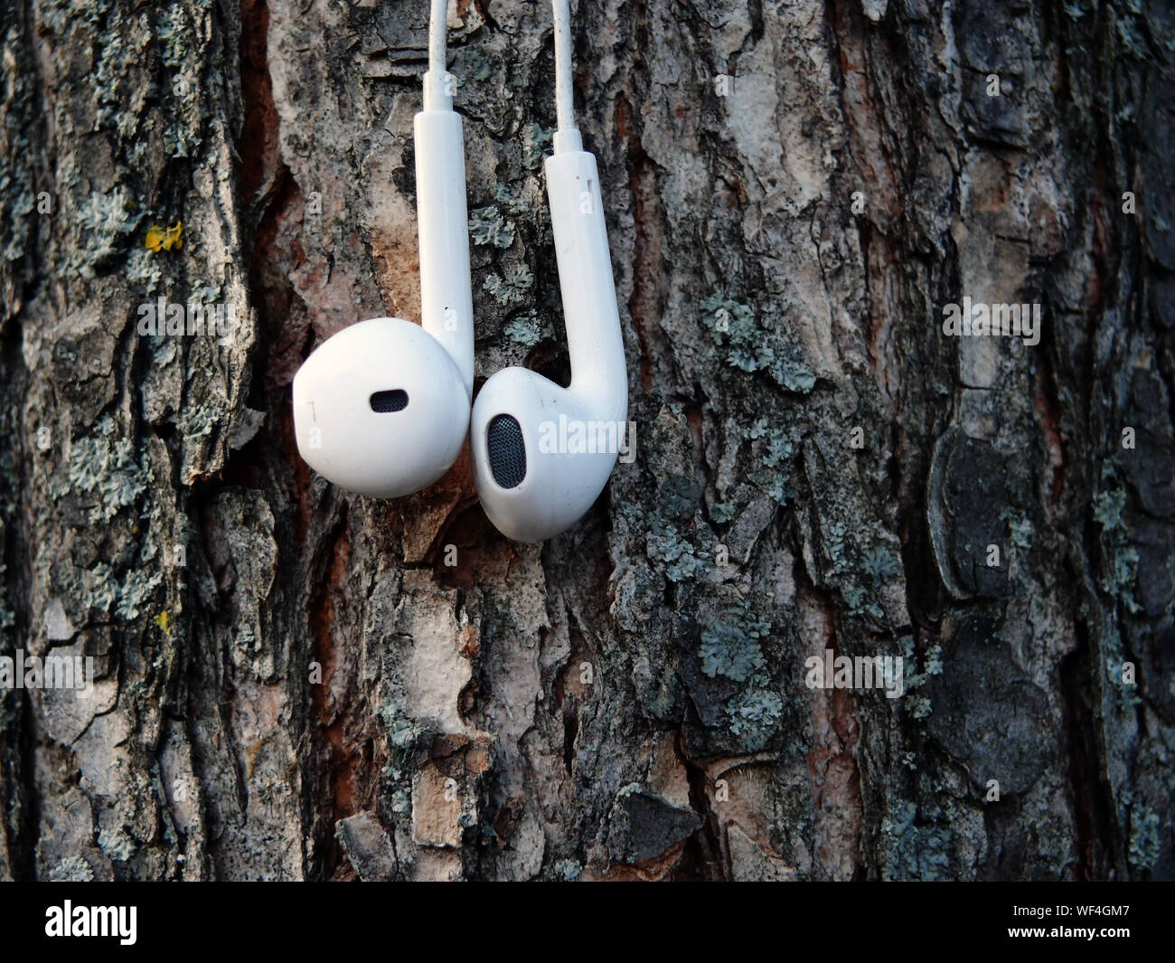 Headphones hanging tree hi-res stock photography and images - Alamy