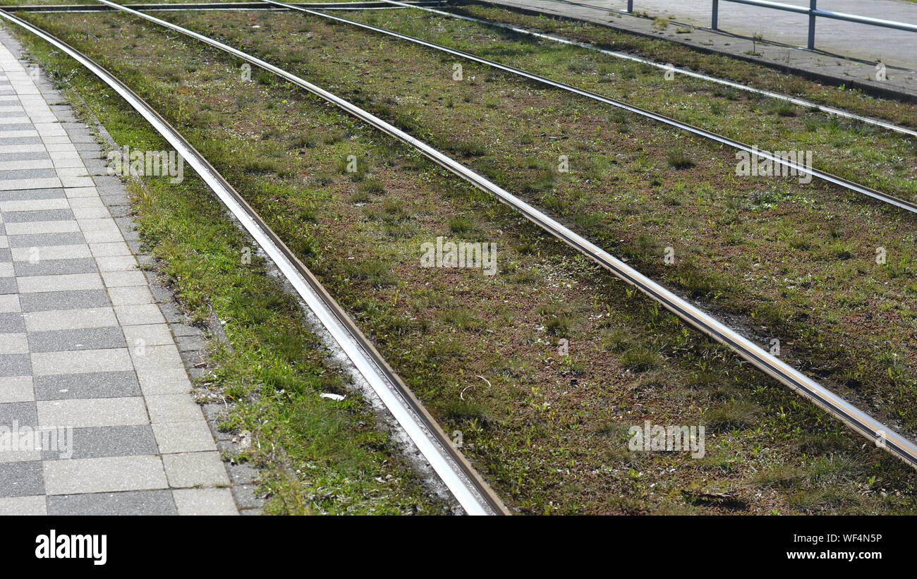Tram_track hi-res stock photography and images - Alamy