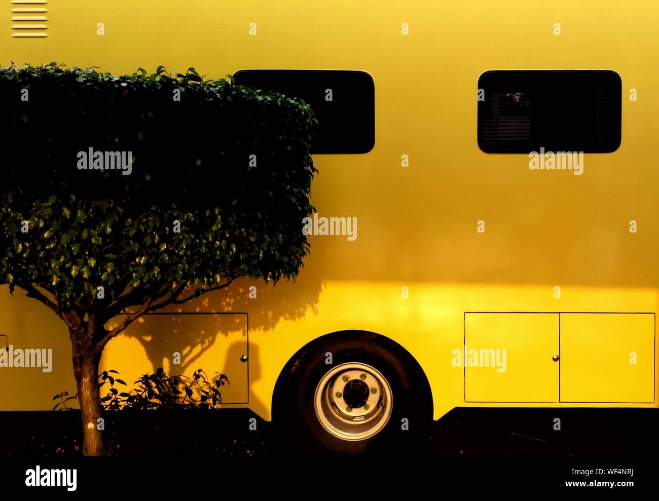 Tree bus hi-res stock photography and images - Alamy
