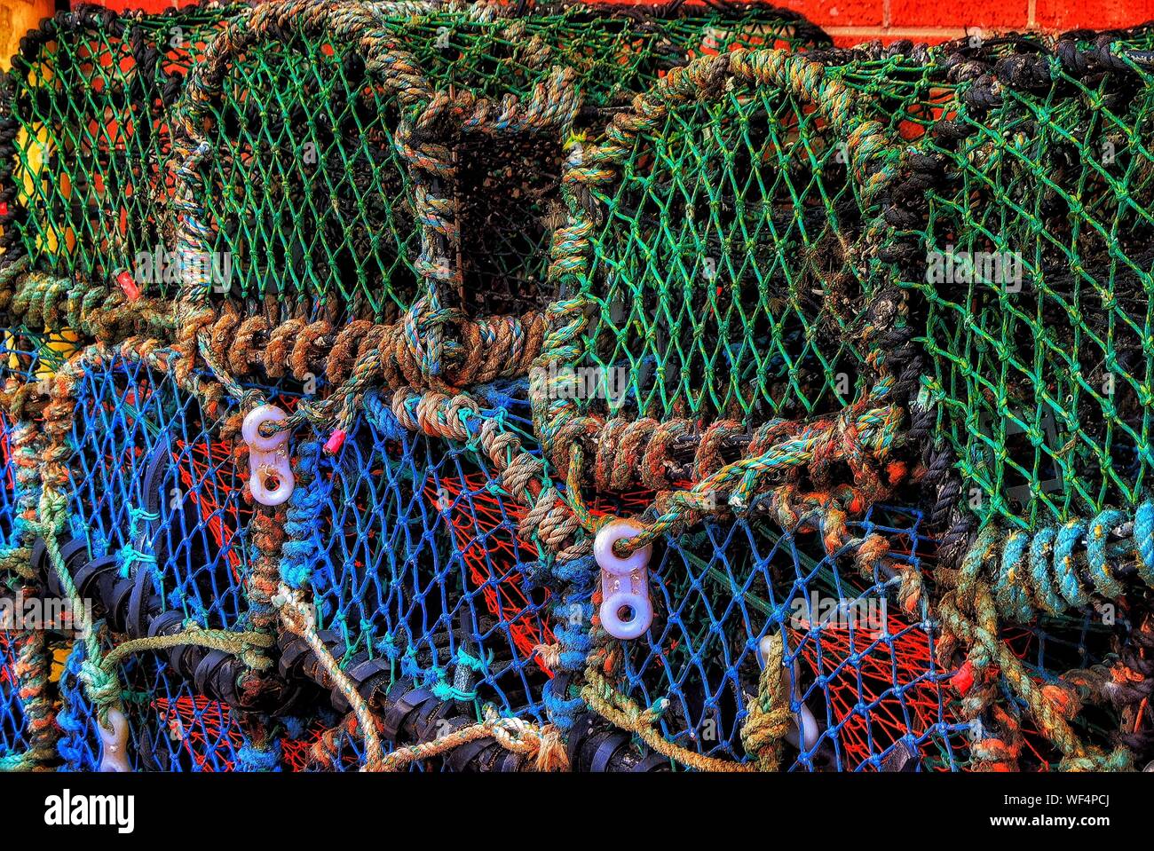 Life traps hi-res stock photography and images - Alamy