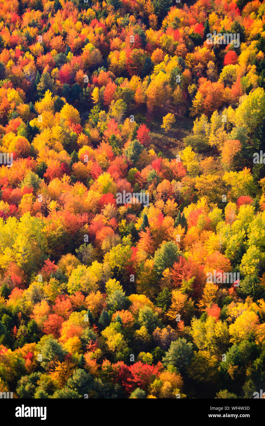 Aerial view of fall foliage, Stowe, Vermont, USA Stock Photo - Alamy