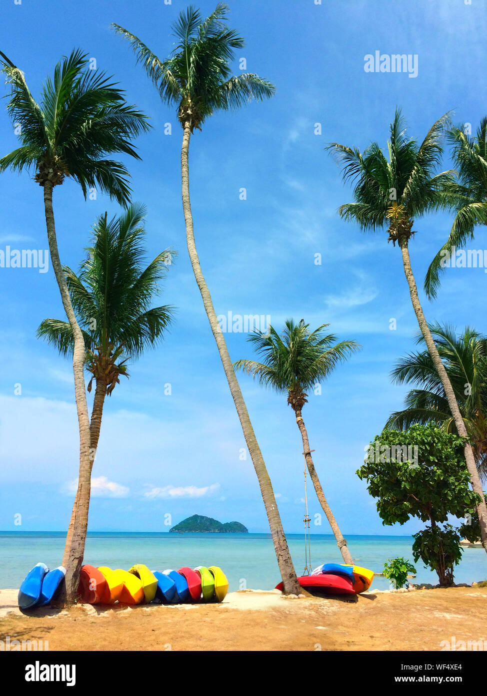 Boats palm trees hi-res stock photography and images - Alamy