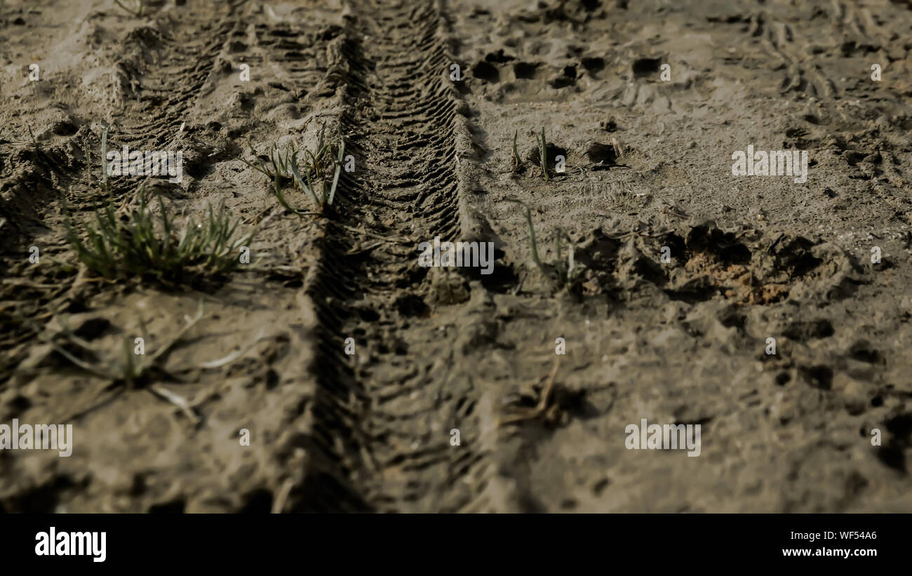 Wet dirt track hi-res stock photography and images - Alamy