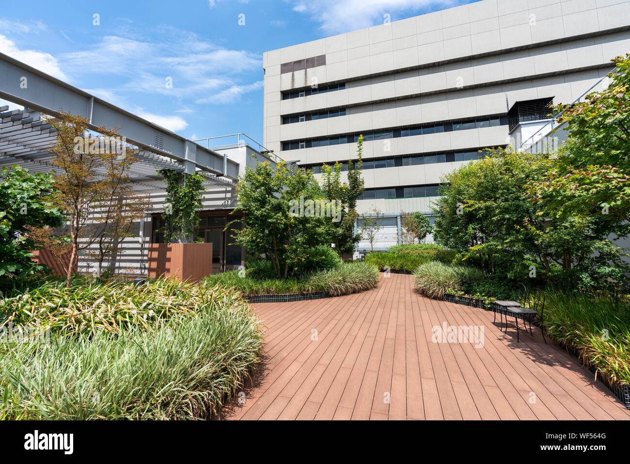 Greening, Itabashi Ward Office, Itabashi-Ku, Tokyo, Japan Stock Photo ...