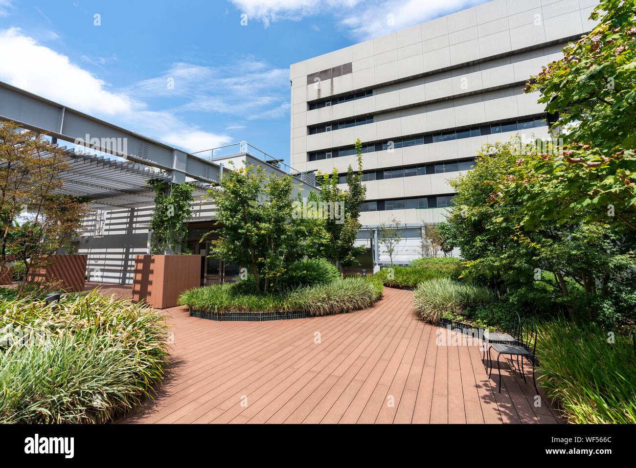 Greening, Itabashi Ward Office, Itabashi-Ku, Tokyo, Japan Stock Photo ...