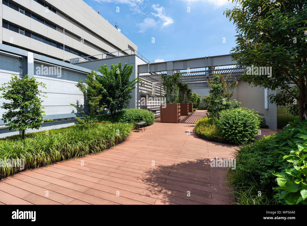 Greening, Itabashi Ward Office, Itabashi-Ku, Tokyo, Japan Stock Photo ...