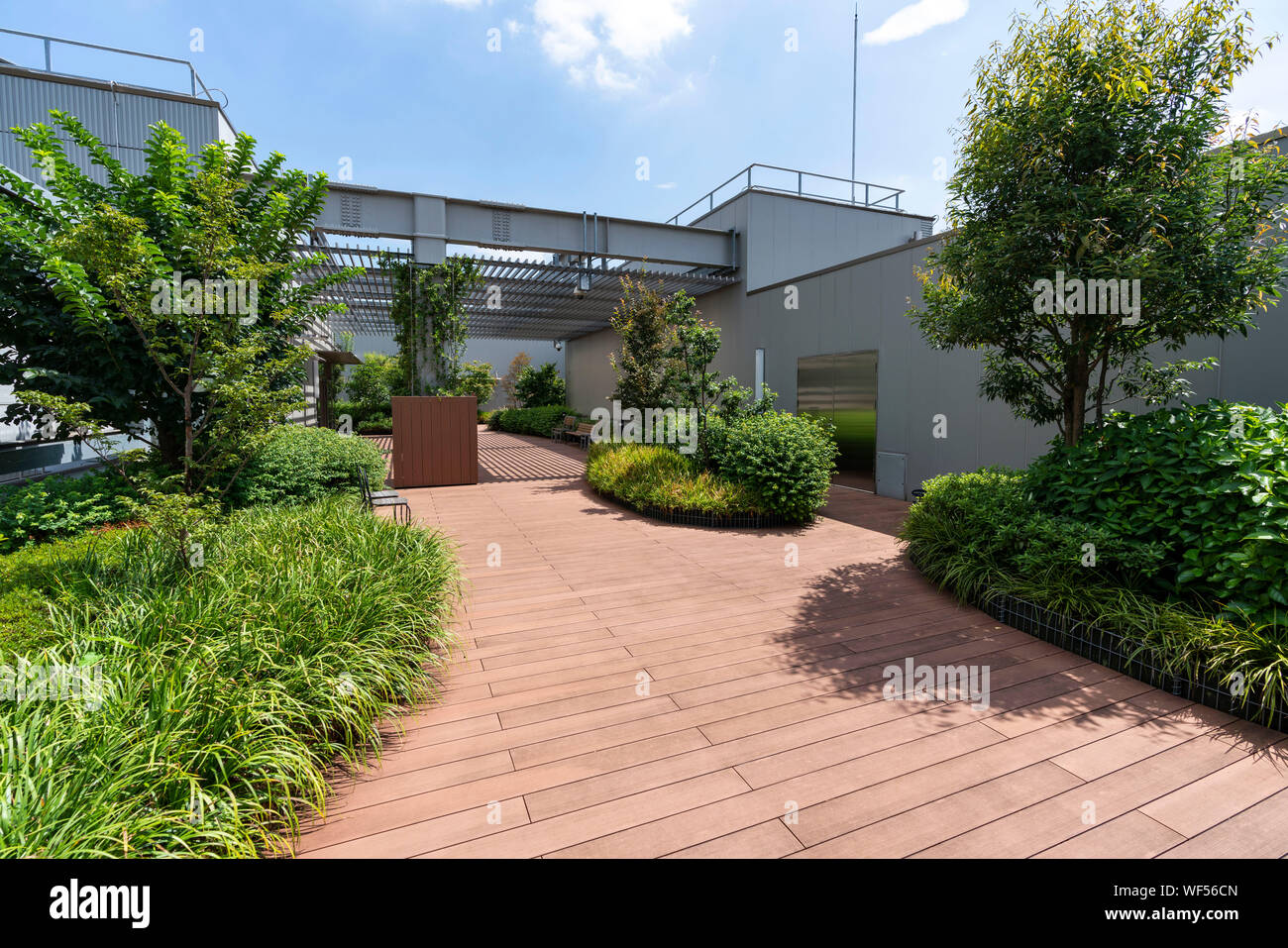 Greening, Itabashi Ward Office, Itabashi-Ku, Tokyo, Japan Stock Photo ...