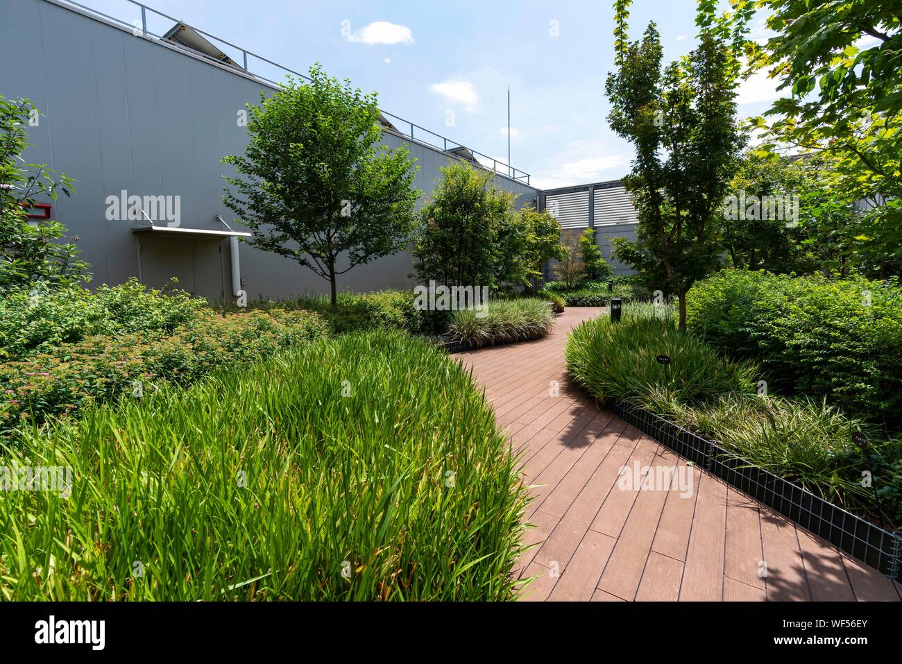 Greening, Itabashi Ward Office, Itabashi-Ku, Tokyo, Japan Stock Photo ...