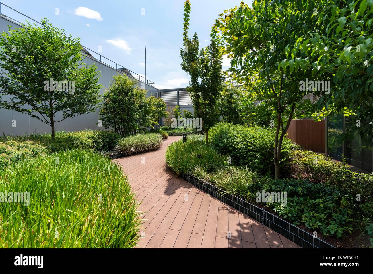 Greening, Itabashi Ward Office, Itabashi-Ku, Tokyo, Japan Stock Photo ...