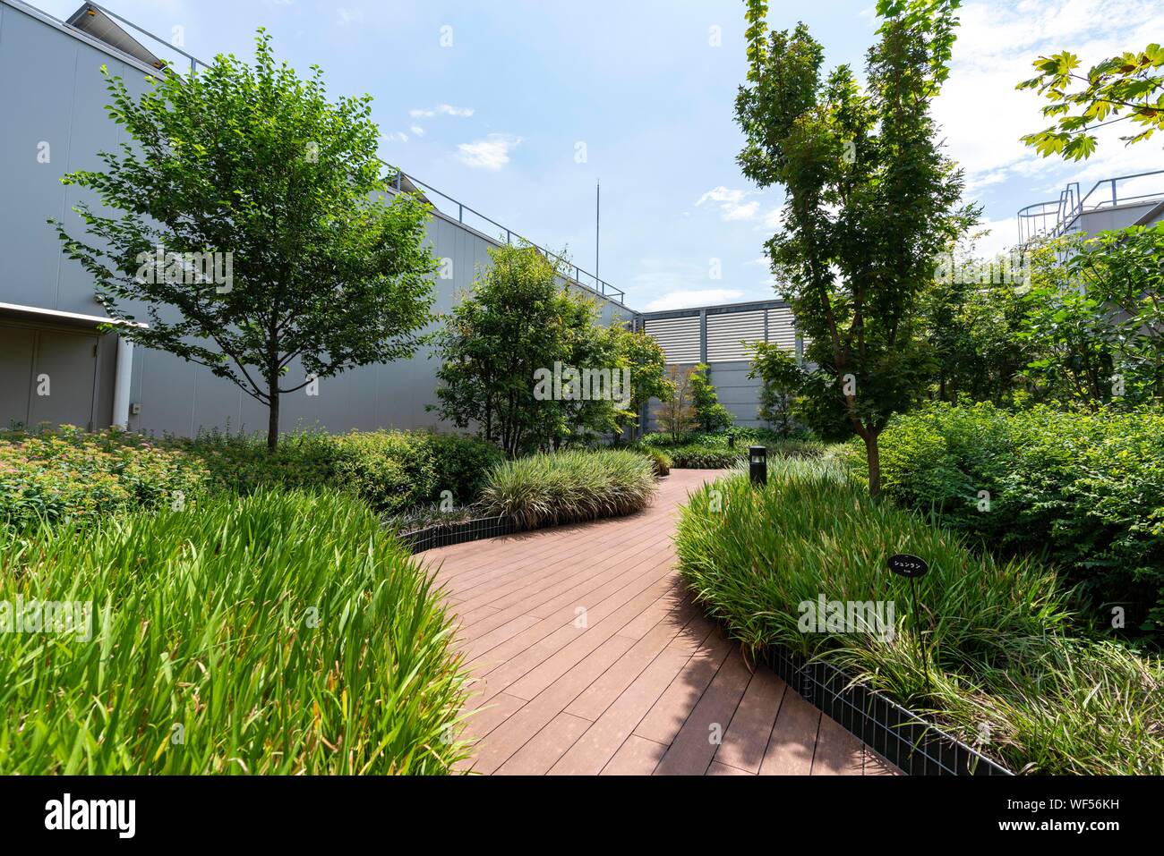 Greening, Itabashi Ward Office, Itabashi-Ku, Tokyo, Japan Stock Photo ...