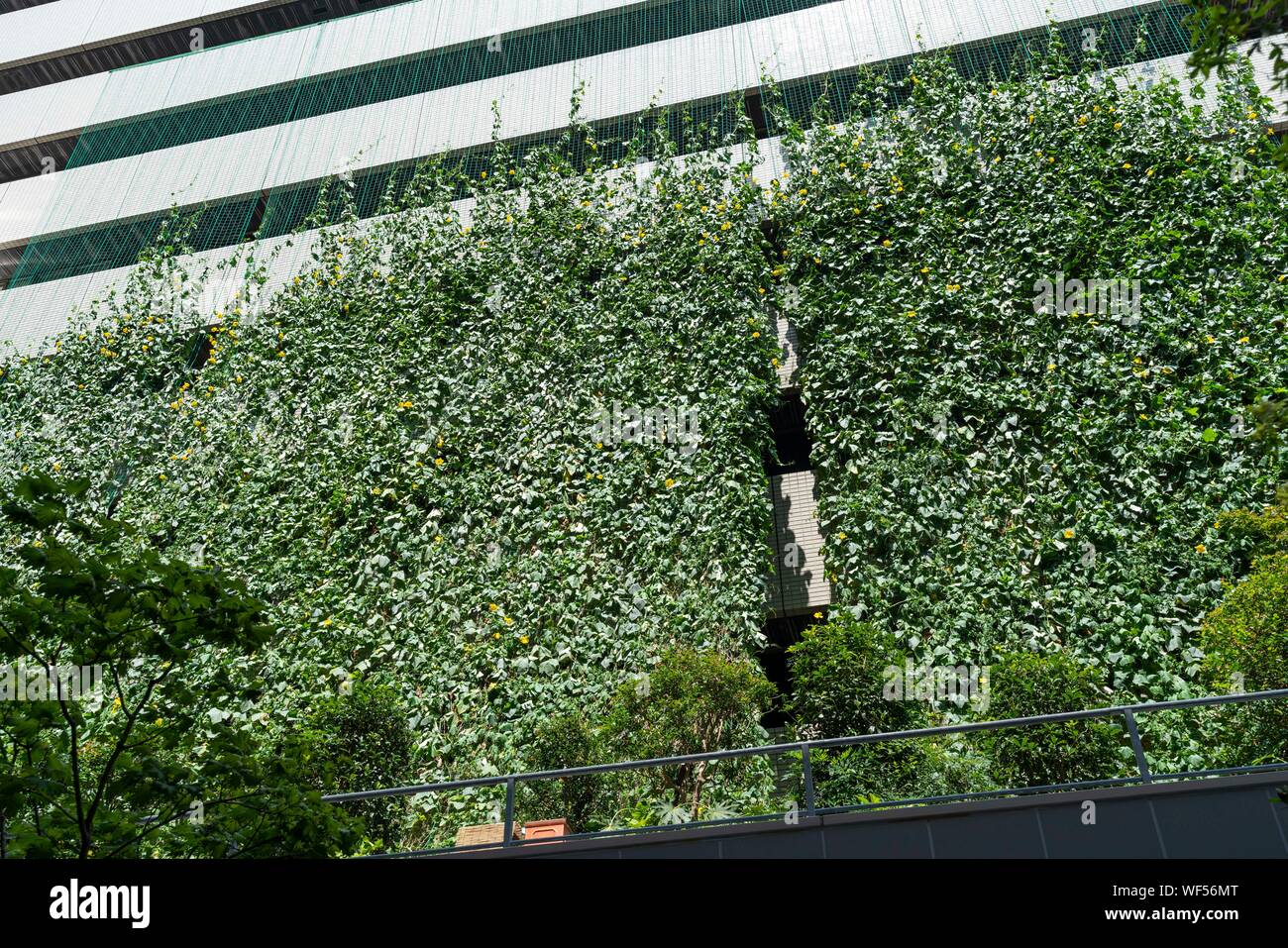 Greening, Itabashi Ward Office, Itabashi-Ku, Tokyo, Japan Stock Photo ...