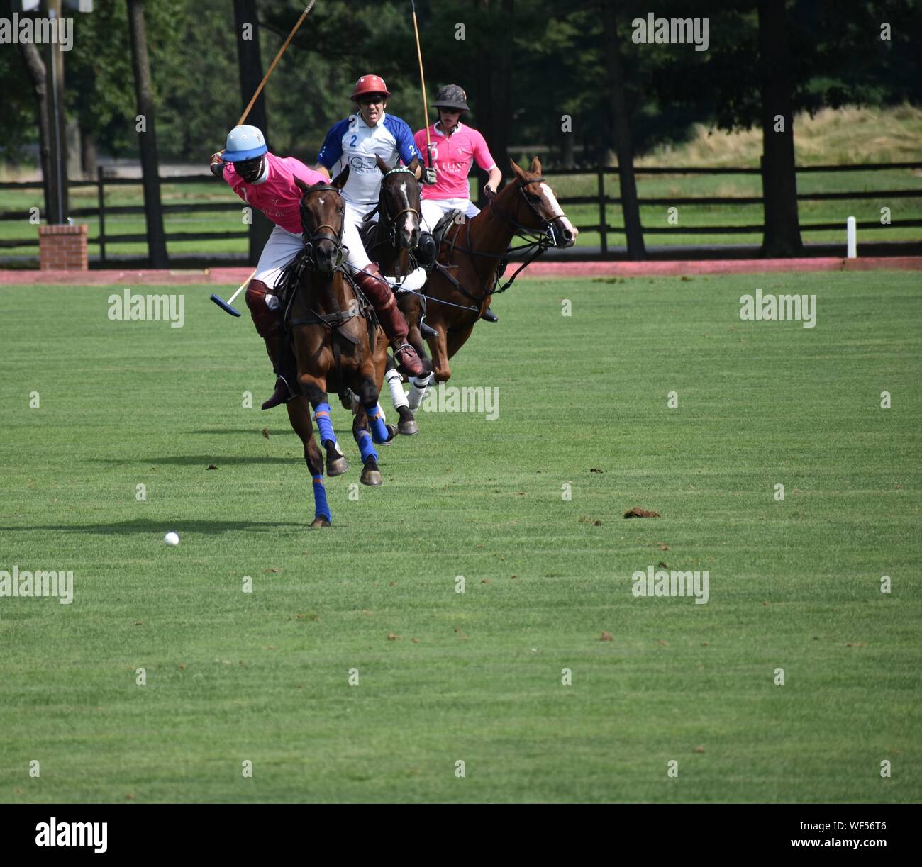 Polo uniform hi-res stock photography and images - Alamy