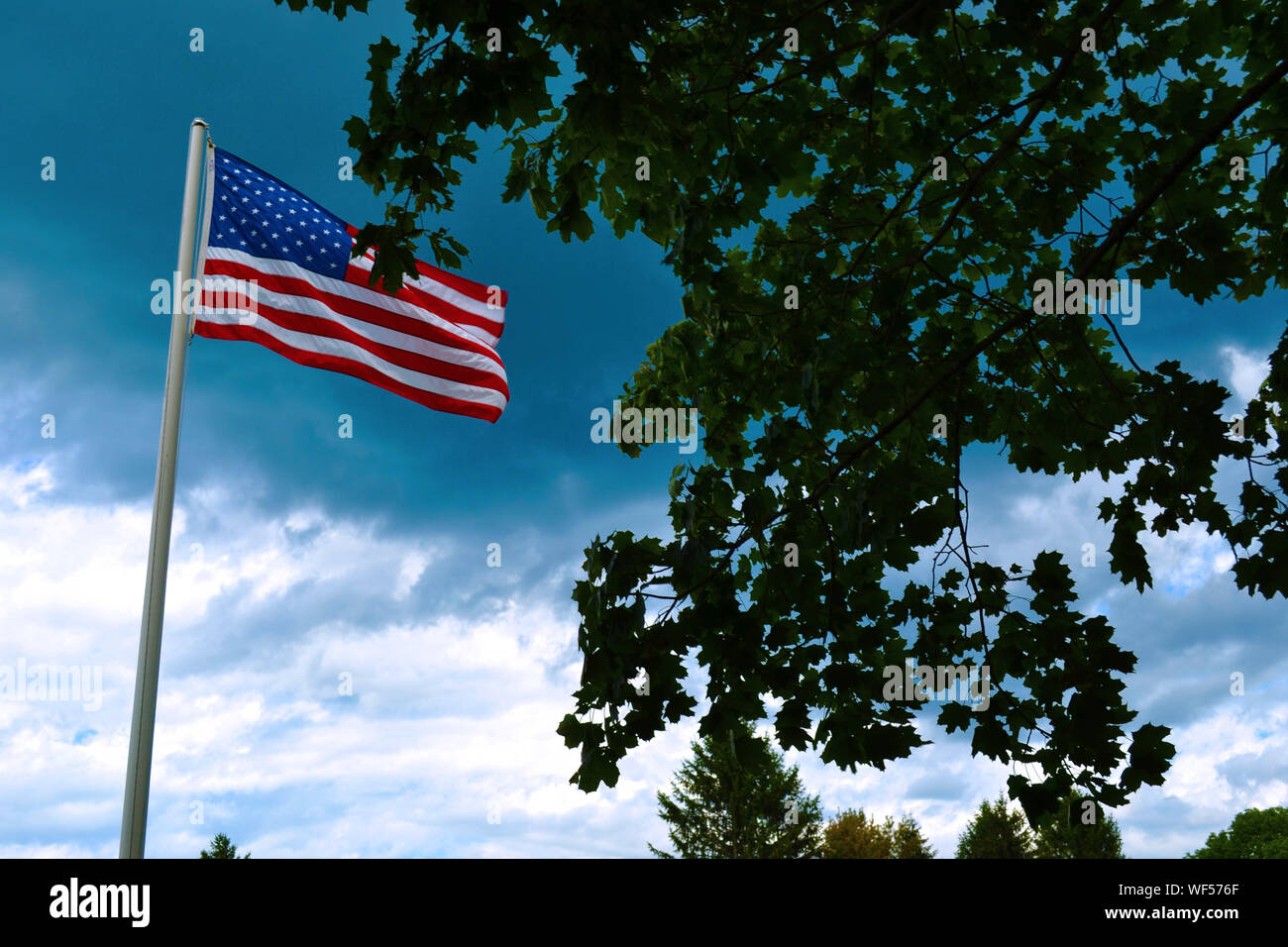 American flag tree hi-res stock photography and images - Alamy