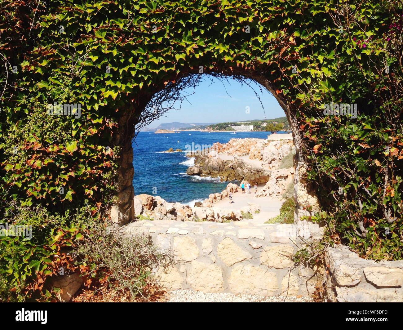 Covered with creepers hi-res stock photography and images - Alamy