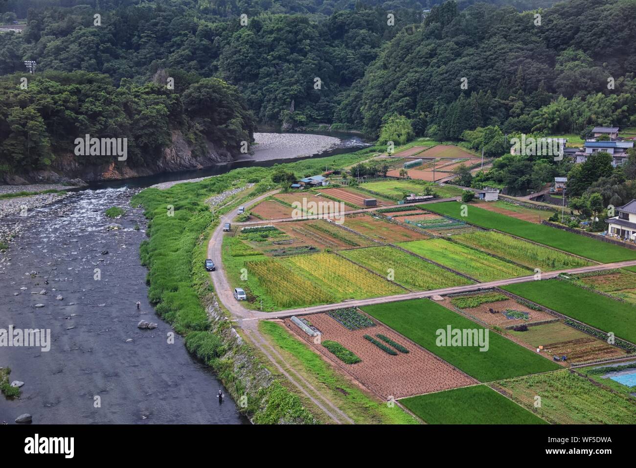 Rural landscape around Tokyo Japan, views of rice fields, mountains ...