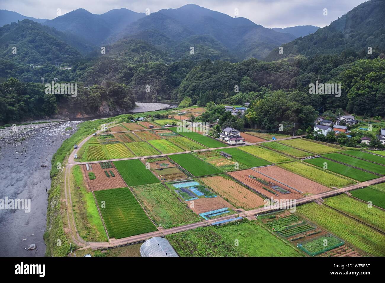 Rural landscape around Tokyo Japan, views of rice fields, mountains ...