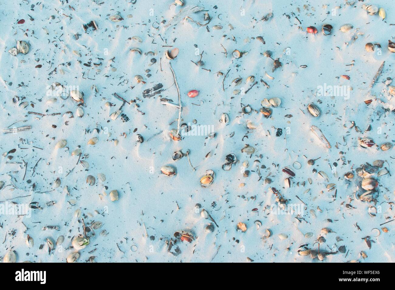 Seeds sand hi-res stock photography and images - Alamy