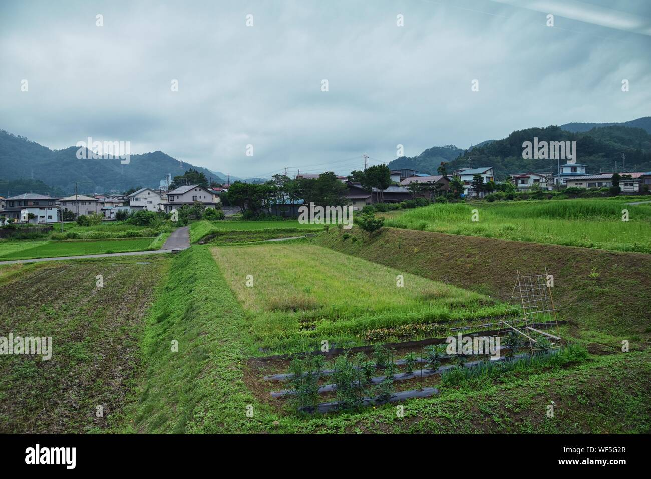 Rural landscape around Tokyo Japan, views of rice fields, mountains ...