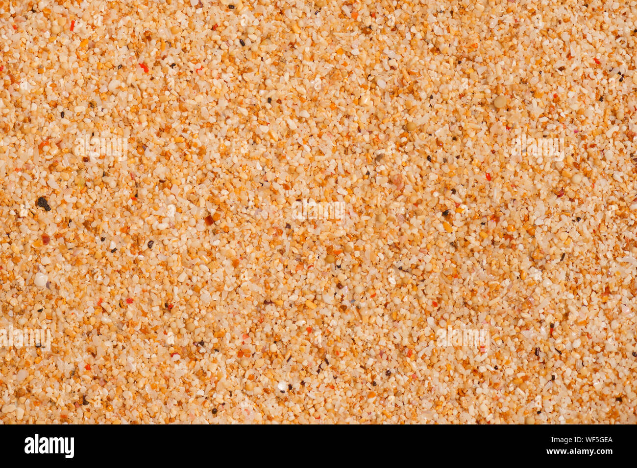Macro texture of beach sand Stock Photo - Alamy