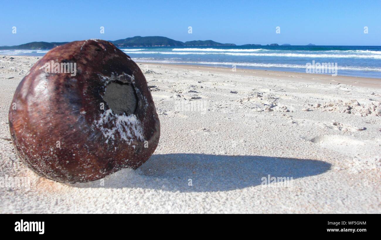 Rotten beauty hi-res stock photography and images - Alamy