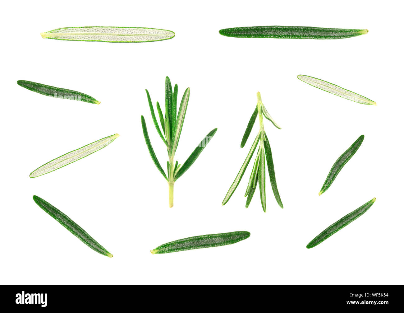 Rosemary texture hi-res stock photography and images - Alamy