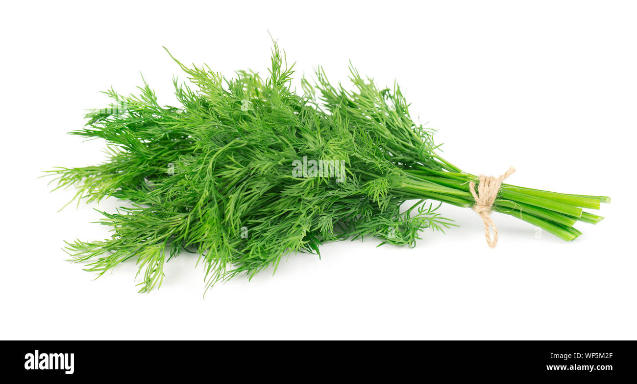 Bunch of fresh green dill isolated on white background Stock Photo - Alamy