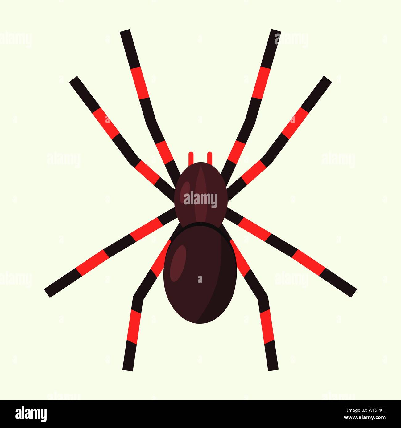 spider flat cartoon vector illustration on white background Stock ...