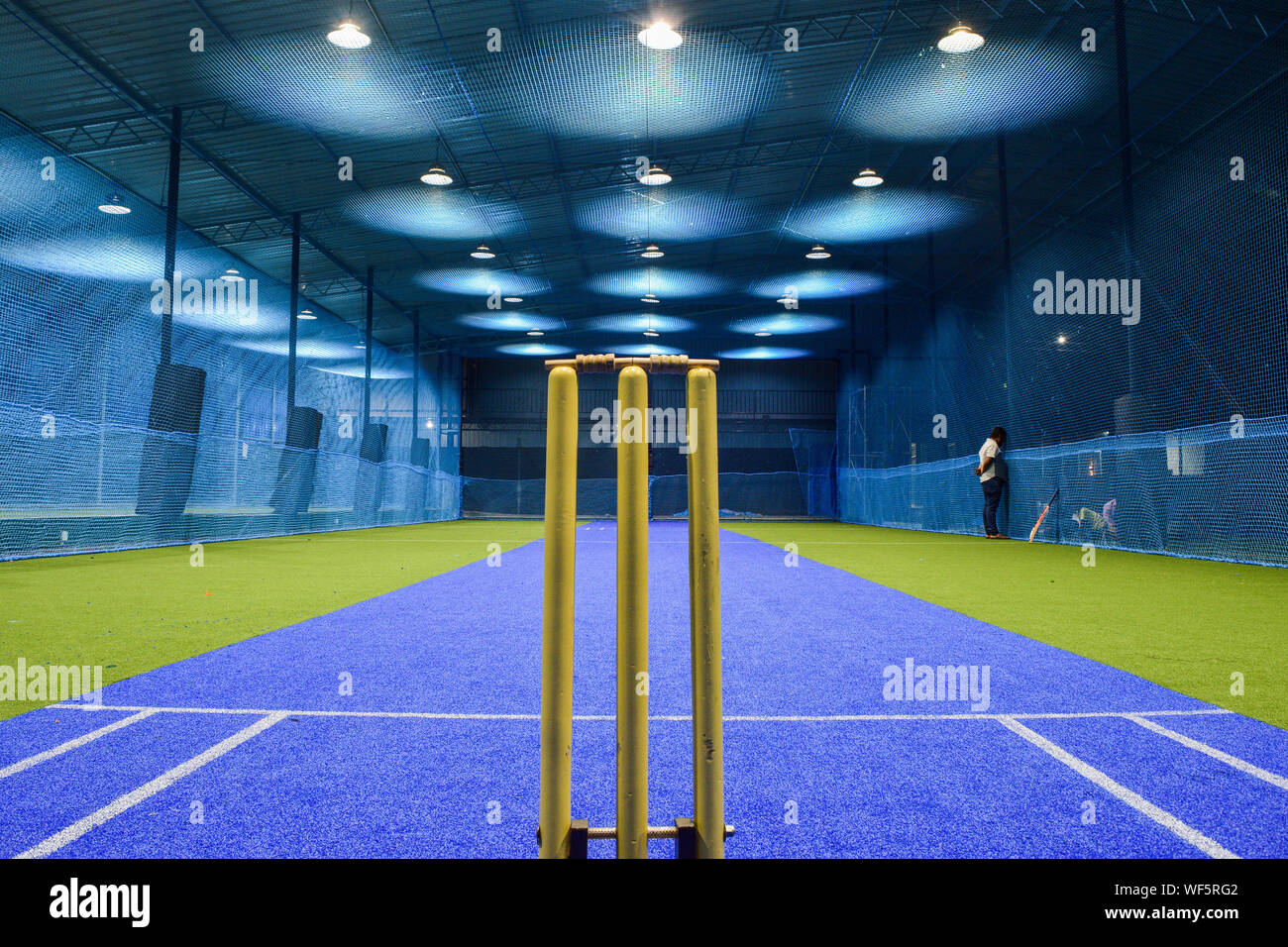 view from behind the wicket of an indoor cricket stadium Stock Photo ...