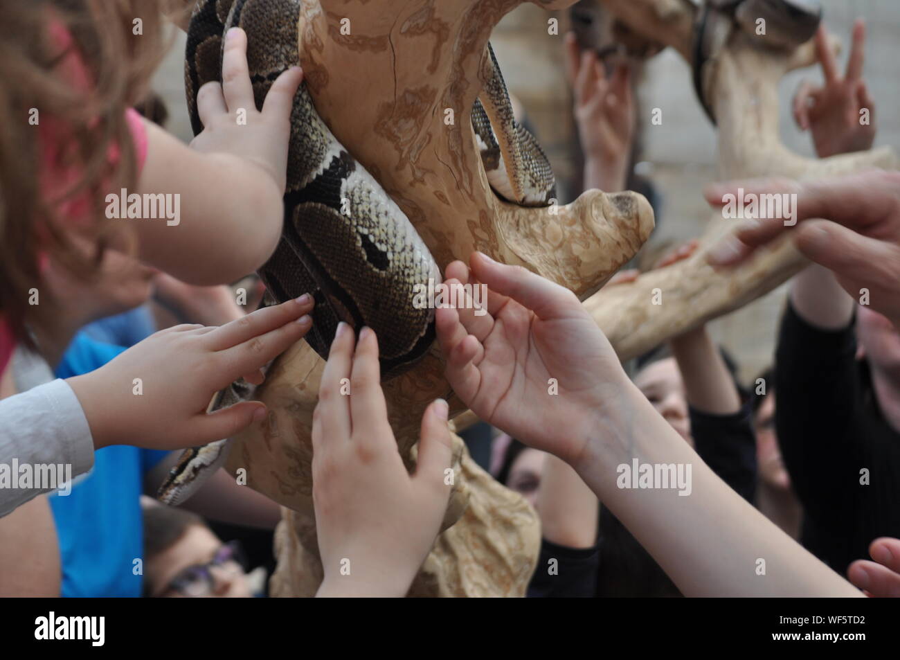 People with snake hi-res stock photography and images - Alamy