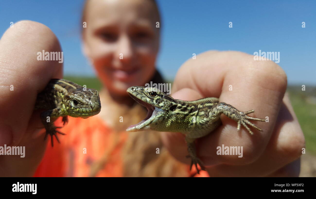 Real lizards hi-res stock photography and images - Alamy
