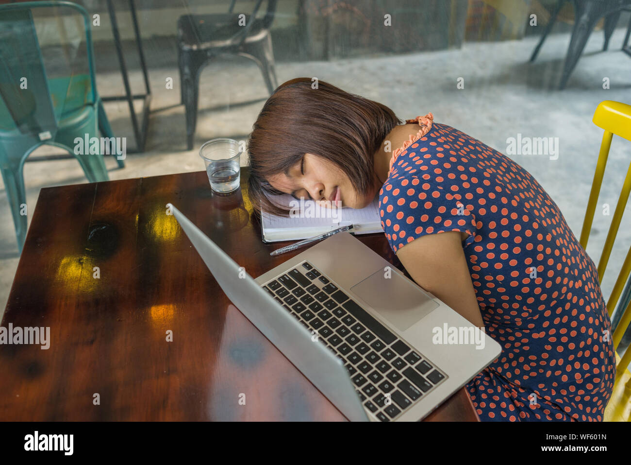 Young overworked lady fall asleep next to laptop at cafeteria Stock ...