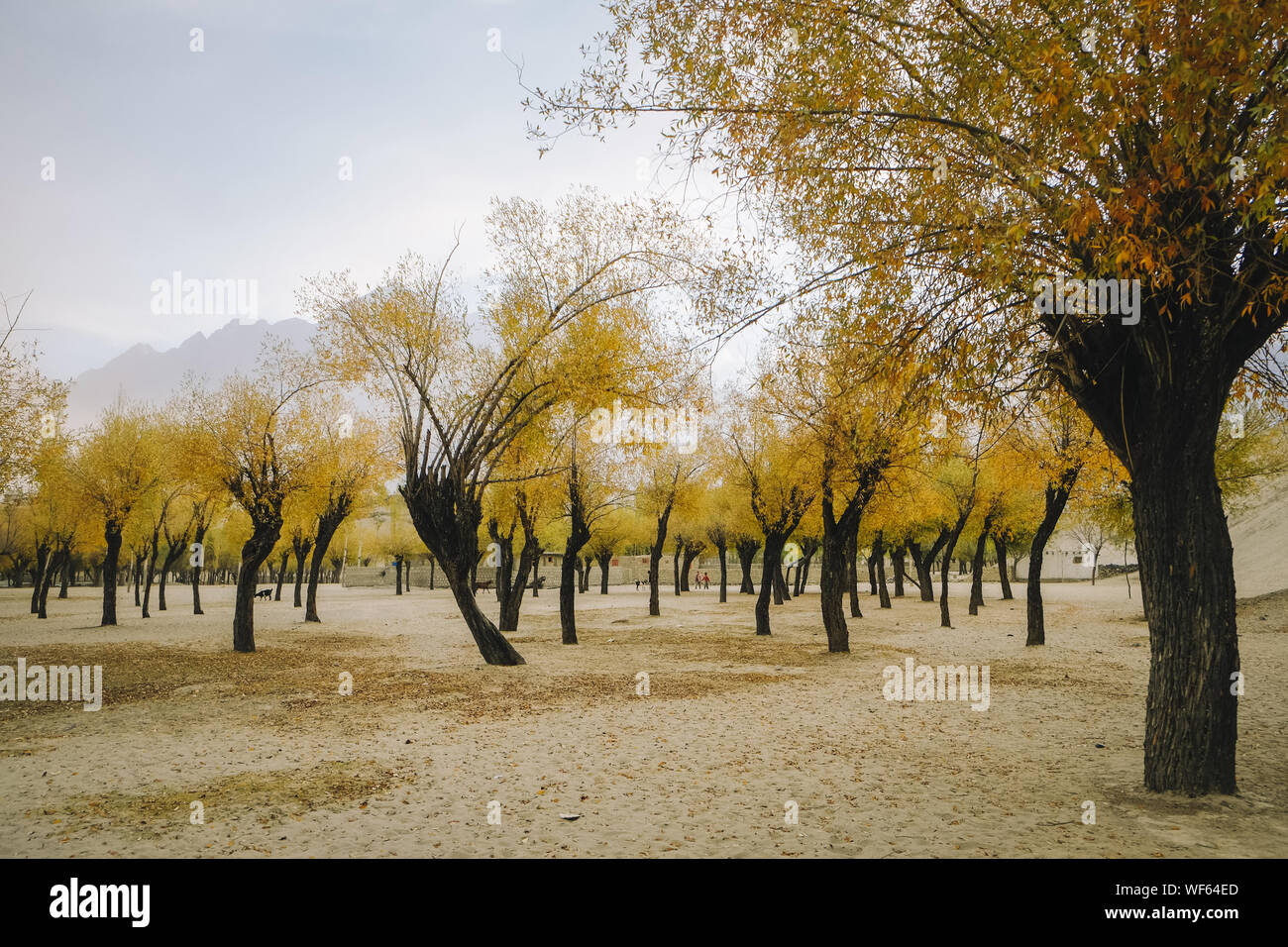 Skardu valley hi-res stock photography and images - Alamy