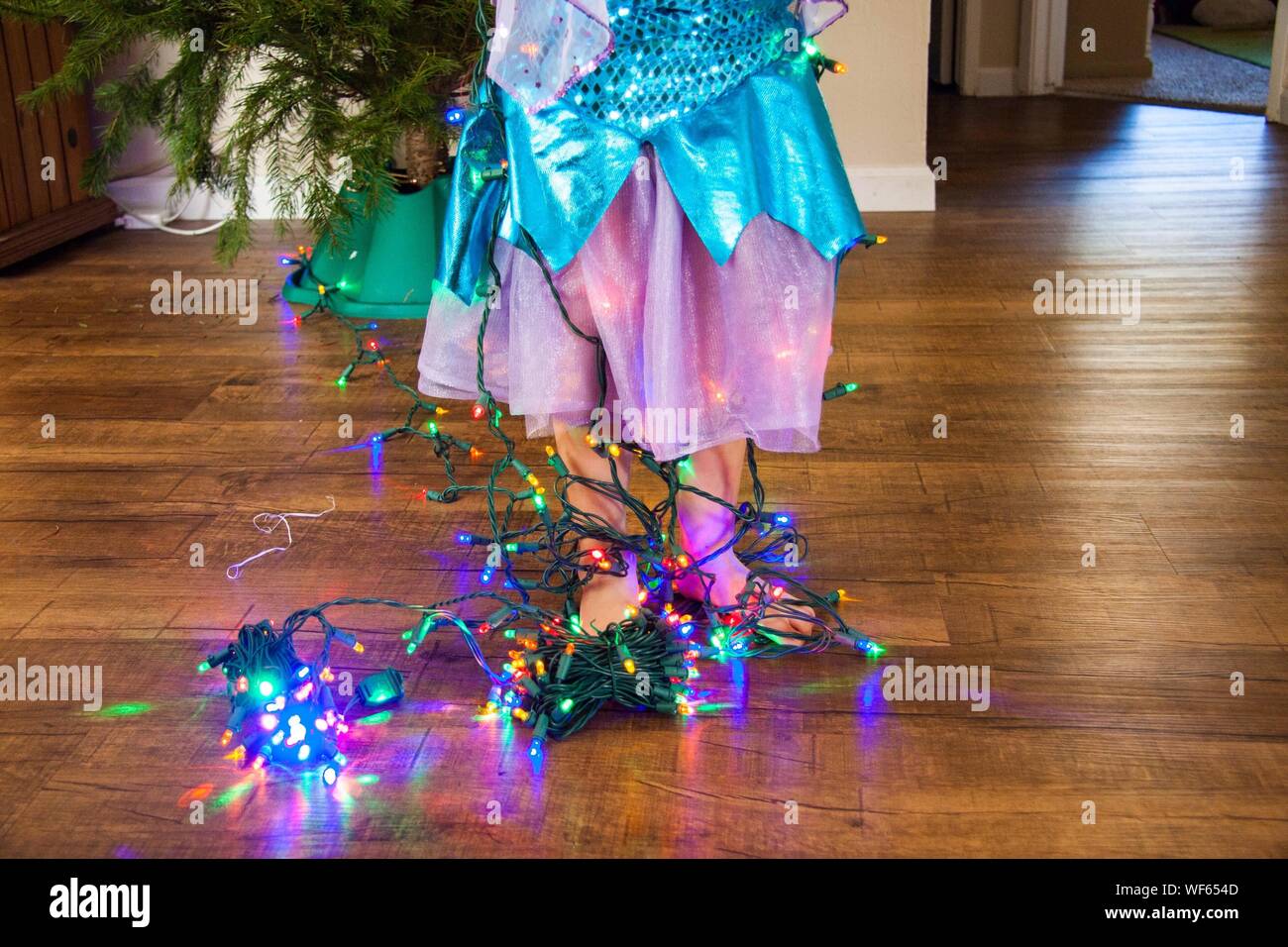 Tangled Christmas Lights High Resolution Stock Photography and Images ...