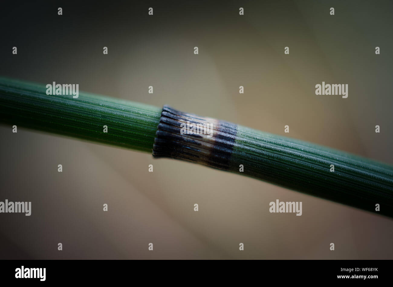 Long cable hi-res stock photography and images - Alamy