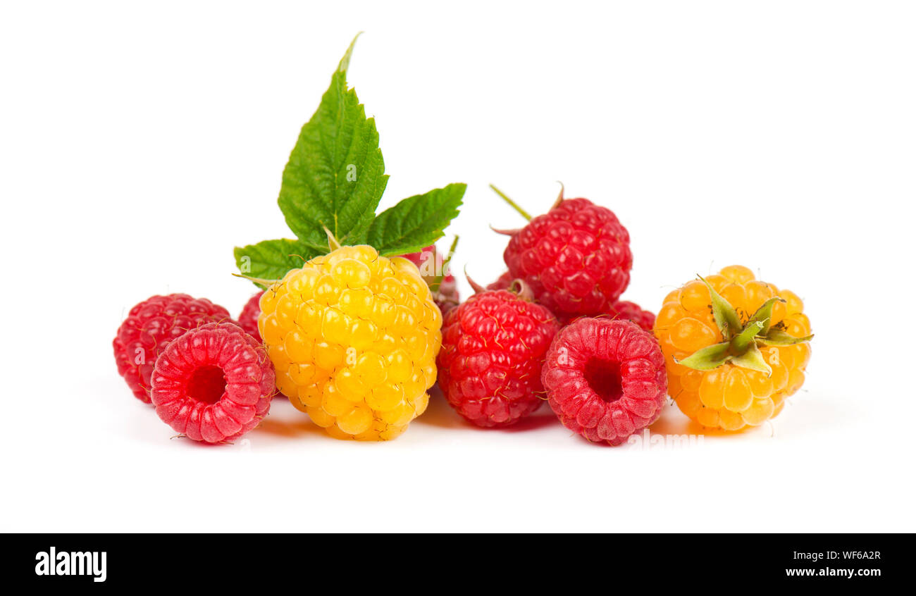 Yellow and red of ripe raspberries, isolated on white background Stock ...