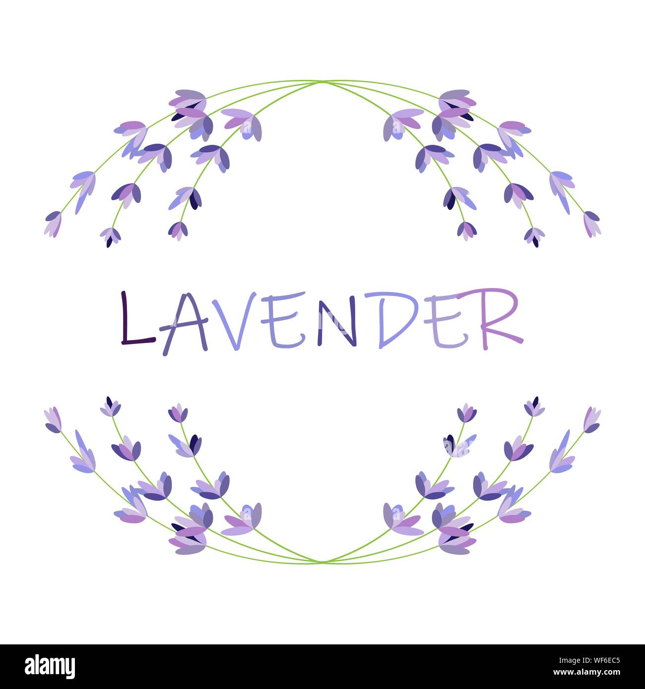 Lavender flower round frame on white. Vector packaging design template ...