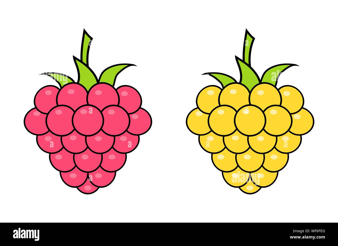 Red and yellow raspberries on white background. Logo design, vector ...