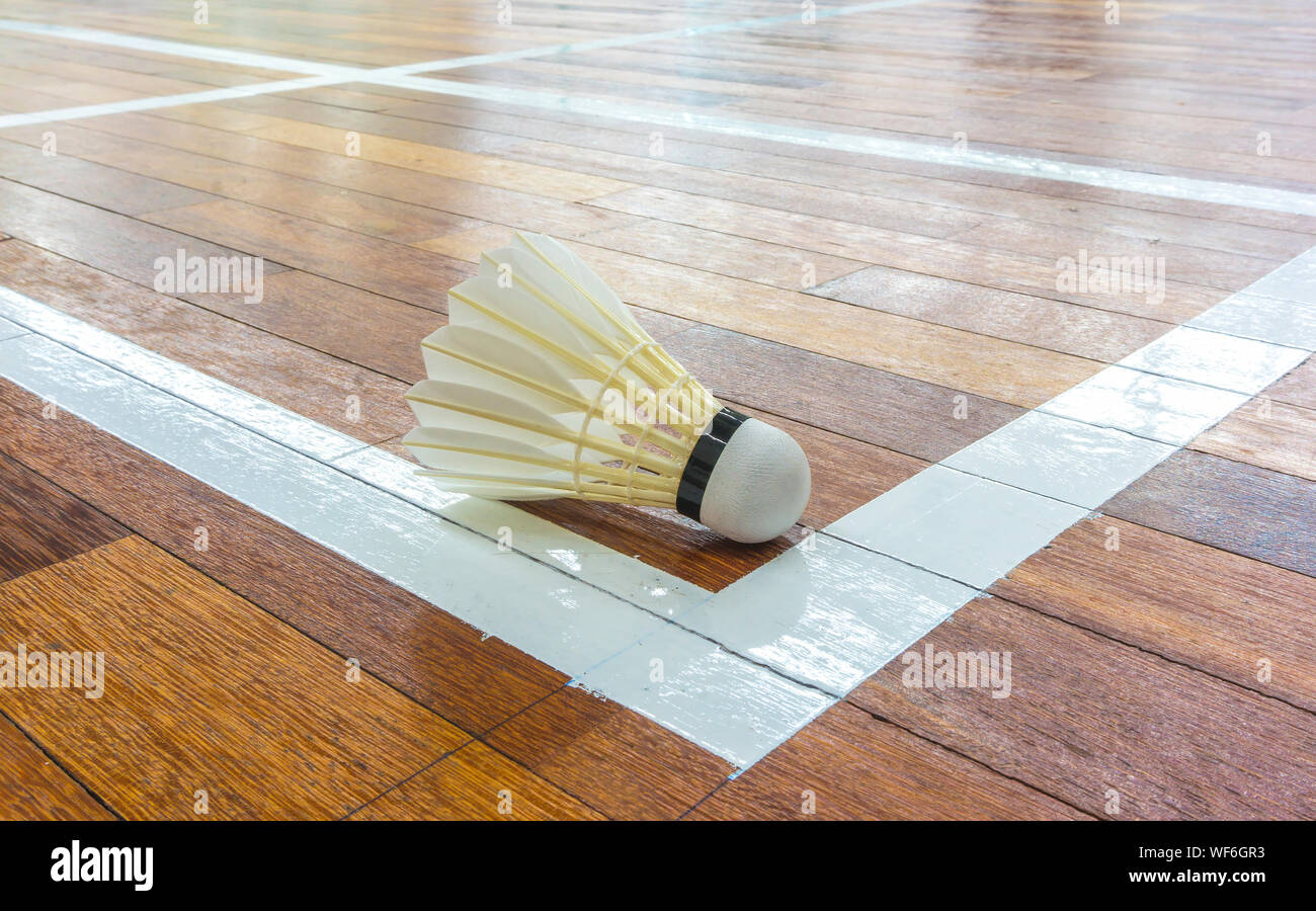 Shuttercock hi-res stock photography and images - Alamy