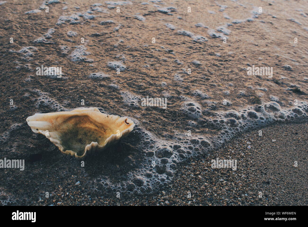 Shell sand beach indonesia hi-res stock photography and images - Alamy