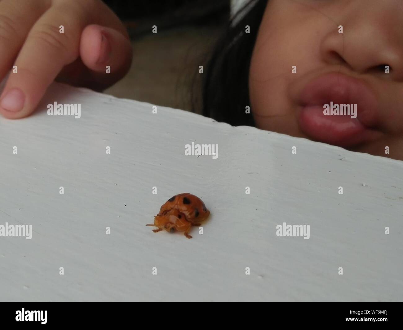 Girl with insect not butterfly hi-res stock photography and images - Alamy