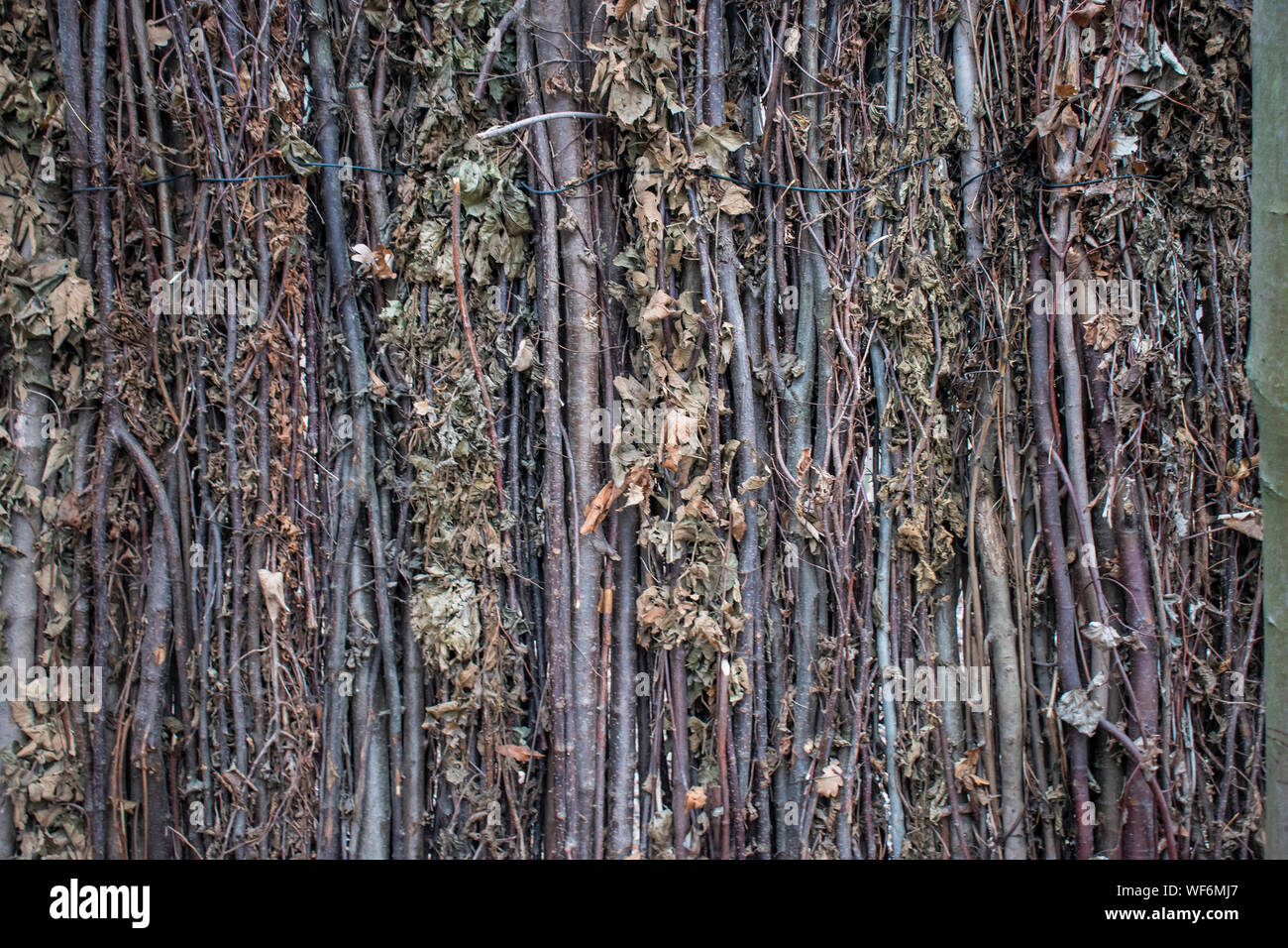 Decorative fence made with tree branches Stock Photo - Alamy