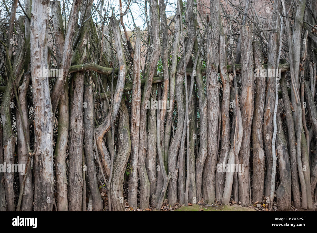 Decorative fence made with tree branches Stock Photo - Alamy