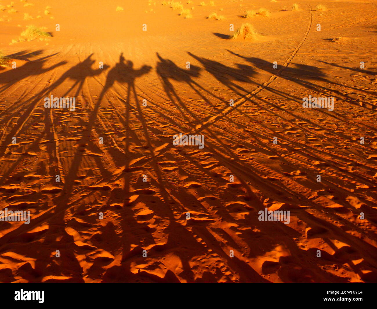 Shadow on desert hi-res stock photography and images - Alamy