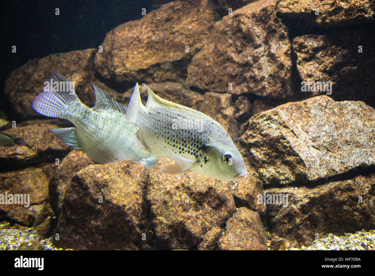 Sliver of ocean hi-res stock photography and images - Alamy