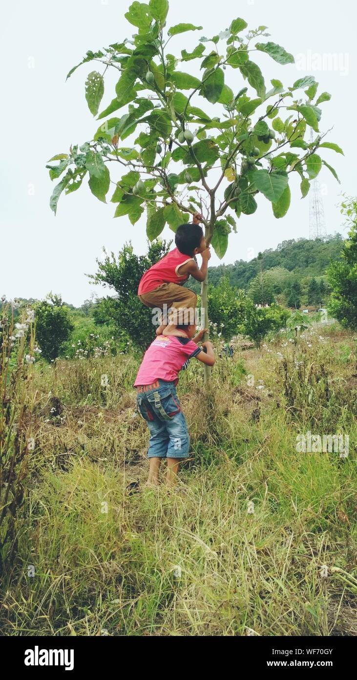 People reaching fruit on tree hi-res stock photography and images - Alamy