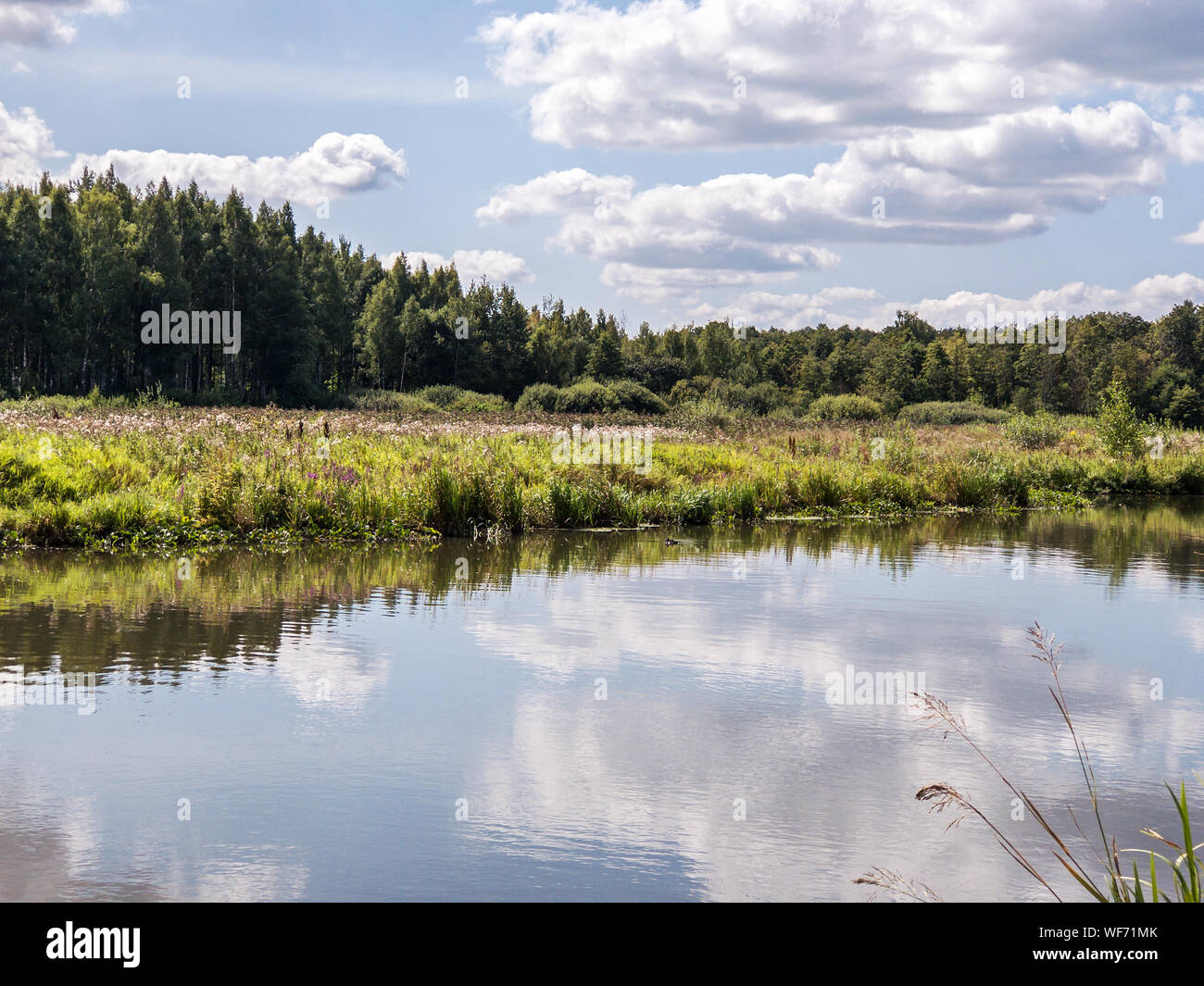 Summer river landscape hi-res stock photography and images - Alamy