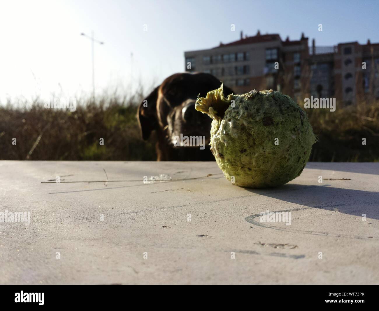 Damaged ball hi-res stock photography and images - Alamy